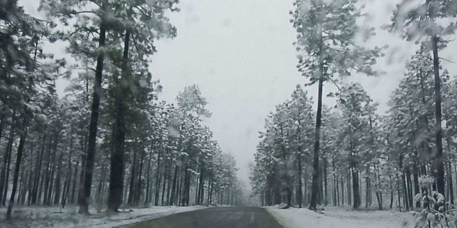 PRI impugna registro de Javier Corral como plurinominal al Senado - La ...